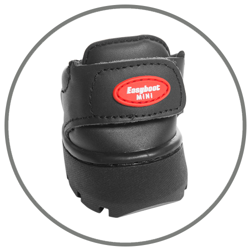 Easyboot mini – happyhoof.no